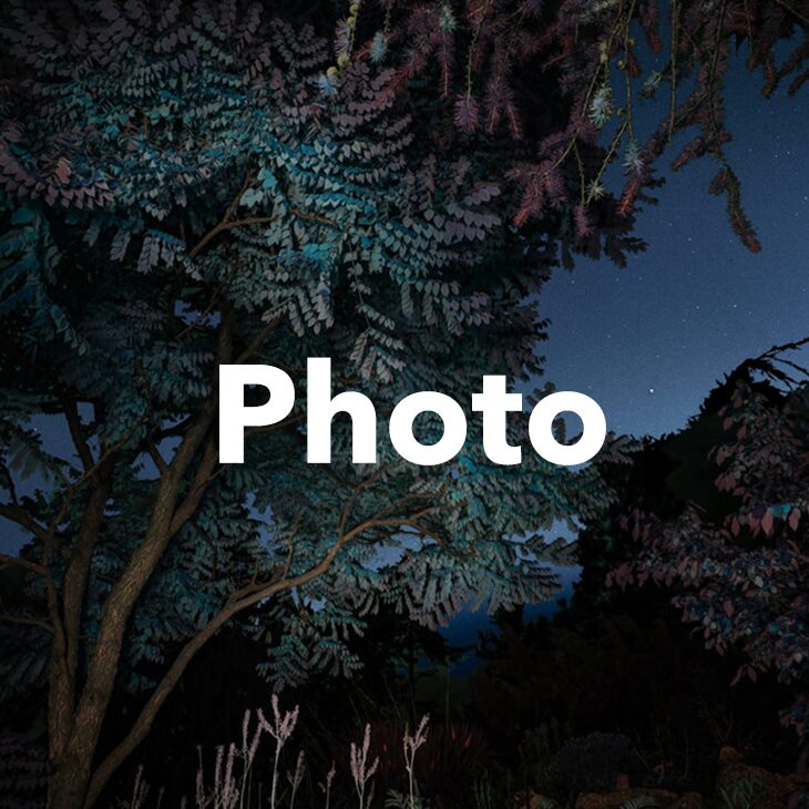 Photography - Senses Atlas